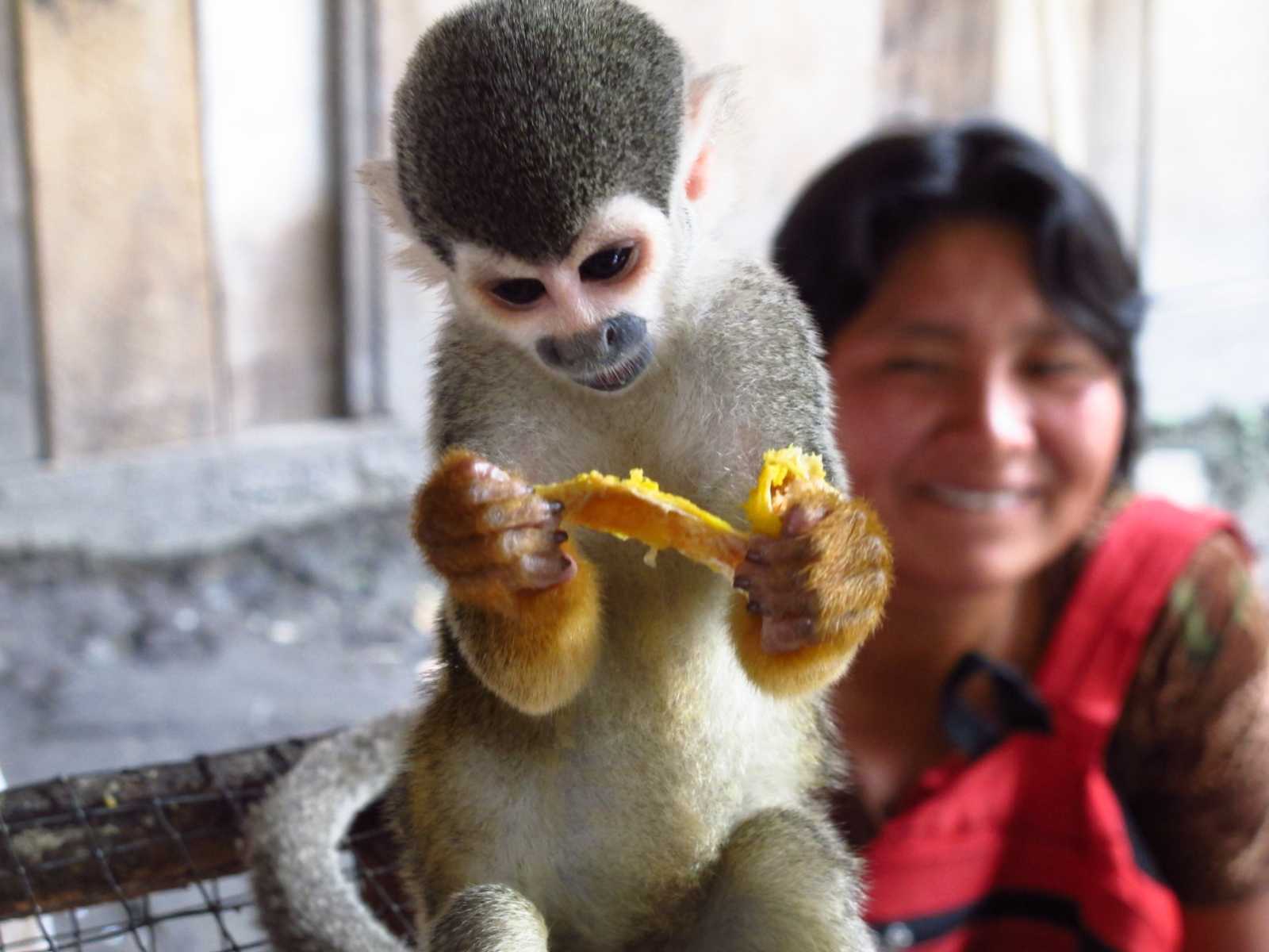 En ruta por Sudamérica: Iquitos, descubriendo la gran urbe de la selva ...